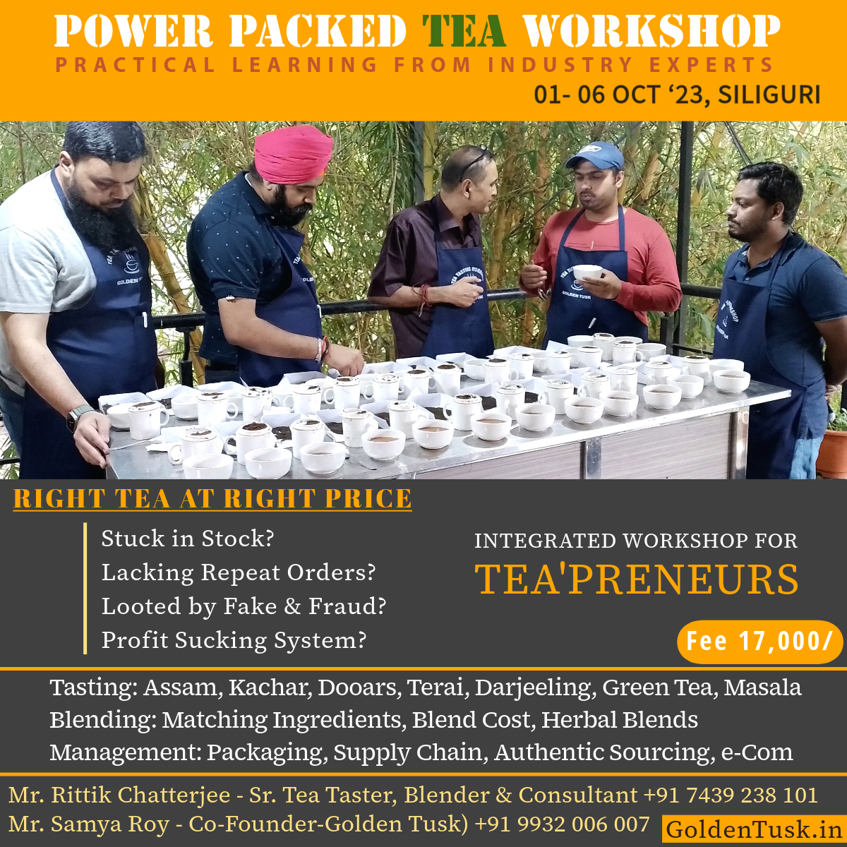 Tea Training - Golden Tusk - Finest Teas from Mystic Mountains